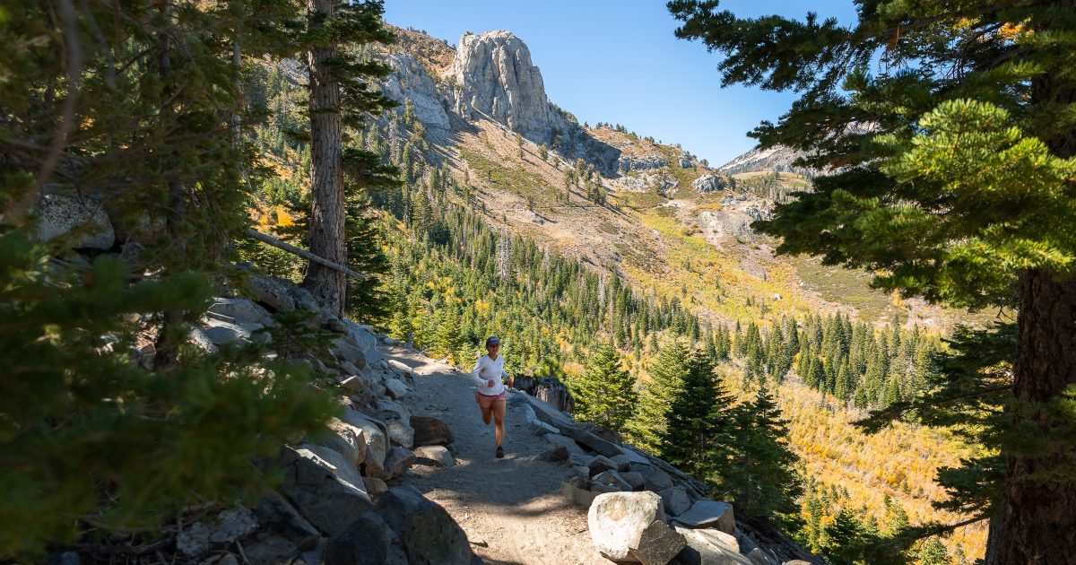 Mammoth Lakes Training Toolkit | Visit Mammoth