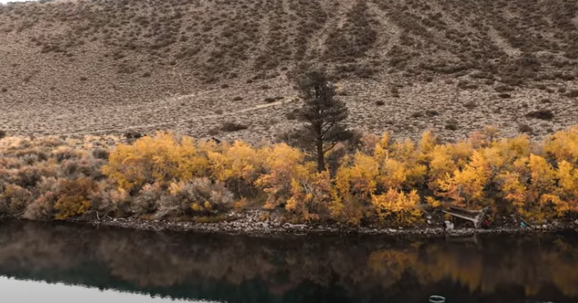 Drone Captures the Awe of Fall in Mammoth Lakes - Visit Mammoth