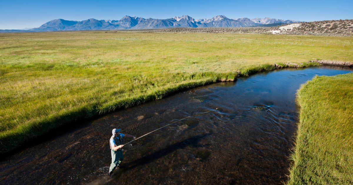 Fishing the Upper Owens River
