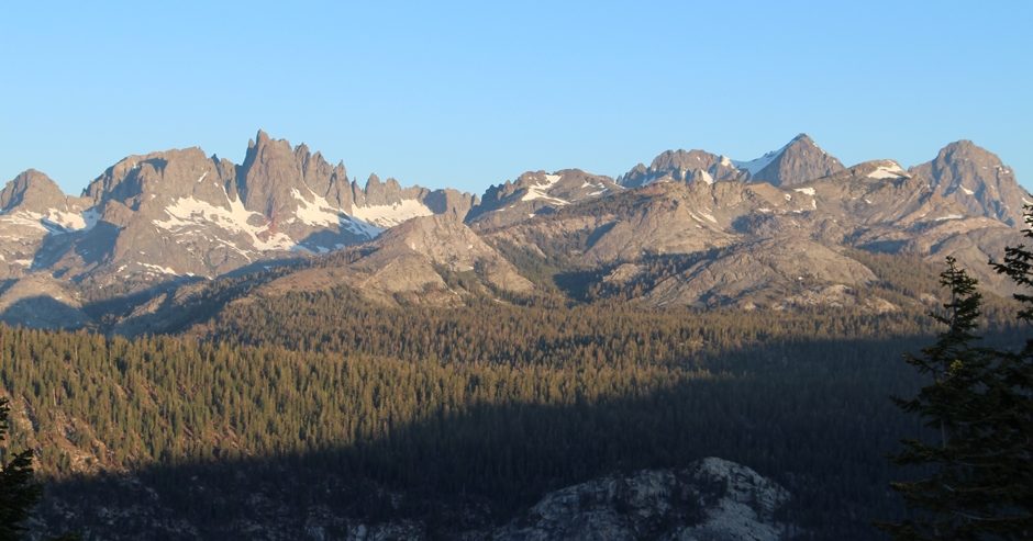 A World of Forests: Mammoth Lakes Ecosystems | Visit Mammoth