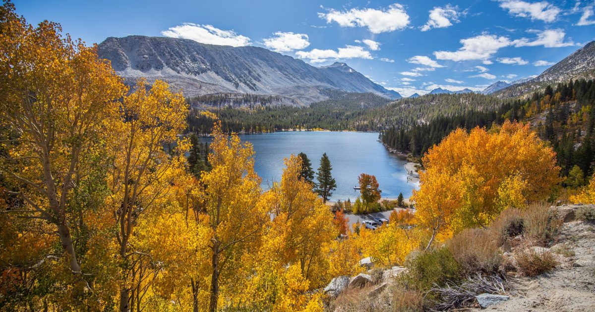 7 Tips for Fall Color Photography From a Professional Photographer ...