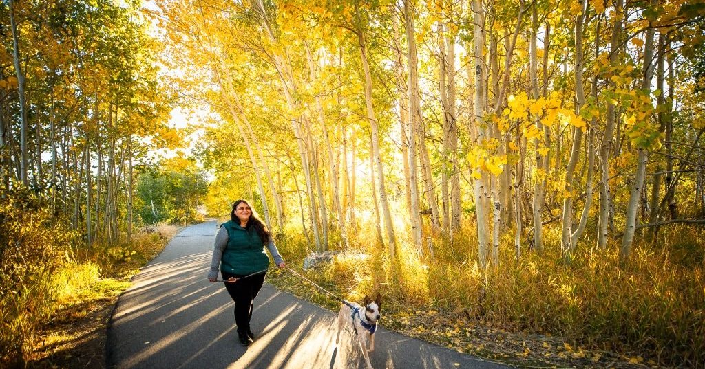 Where to Find Fall Colors In Mammoth Lakes | Visit Mammoth