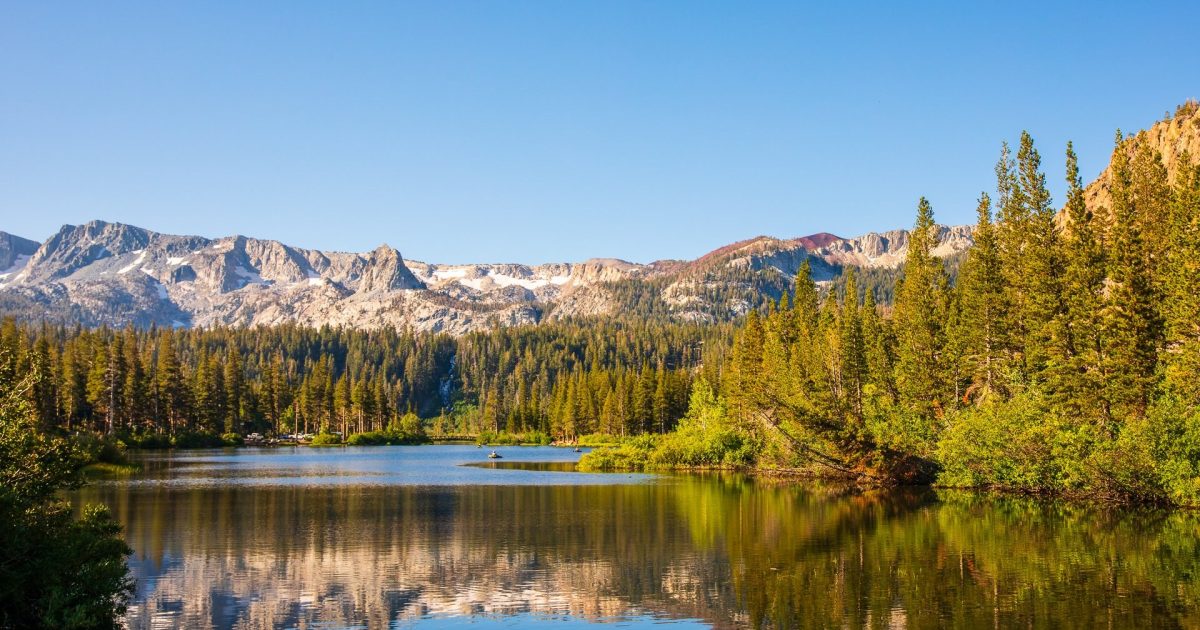Naturalist's Guide to the Mammoth Lakes Basin | Visit Mammoth