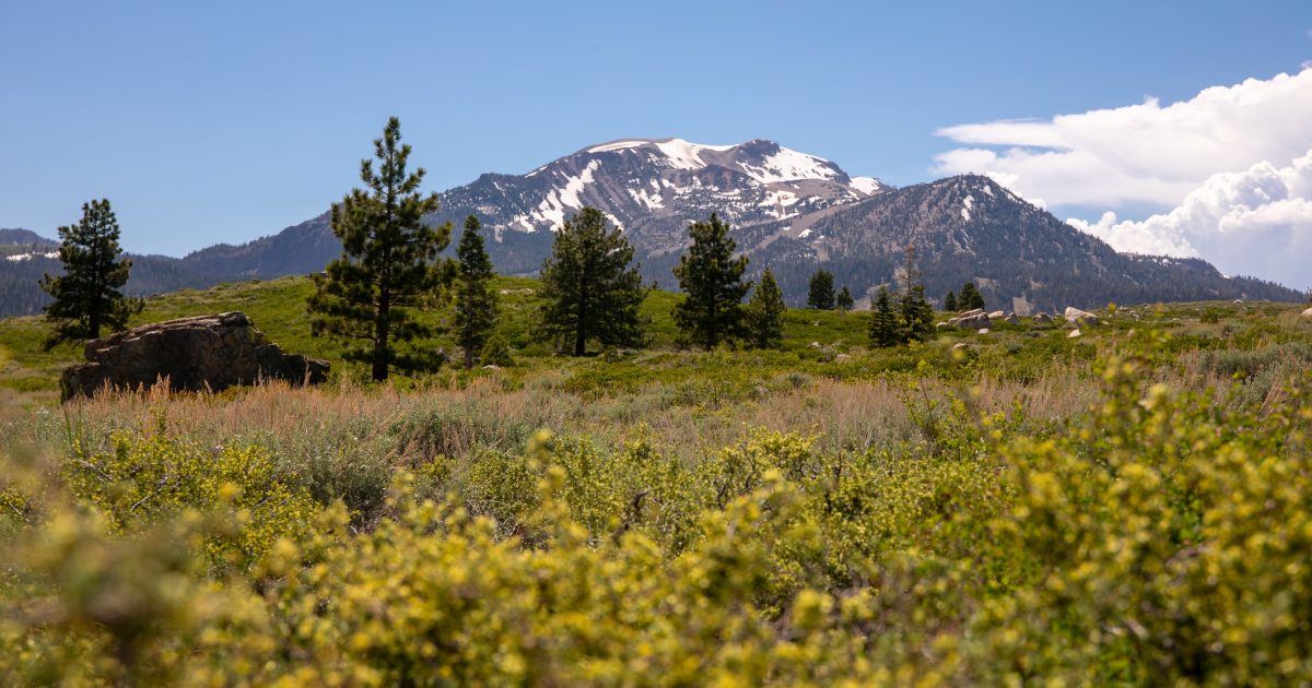 Things to Do During the Summer in Mammoth Lakes | Visit Mammoth
