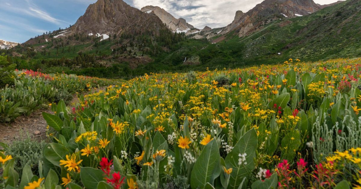 Official Tourism Website for Mammoth Lakes, California - Visit Mammoth