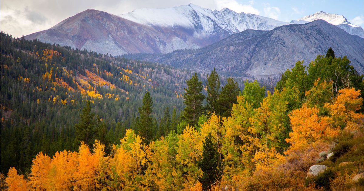 5 Reasons Fall is the Best Time to Visit Mammoth Lakes | Visit Mammoth