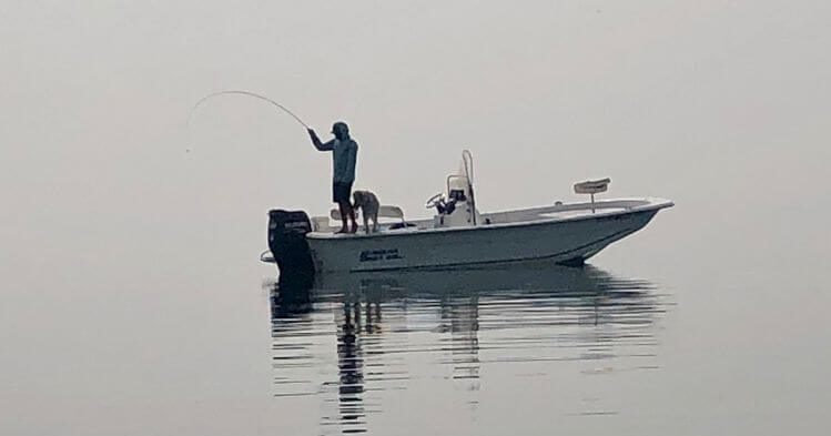 Wild Fly Anglers | Visit Mammoth